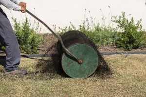 A seed cover mulch can help maintain proper moisture. Adding mulch to ...